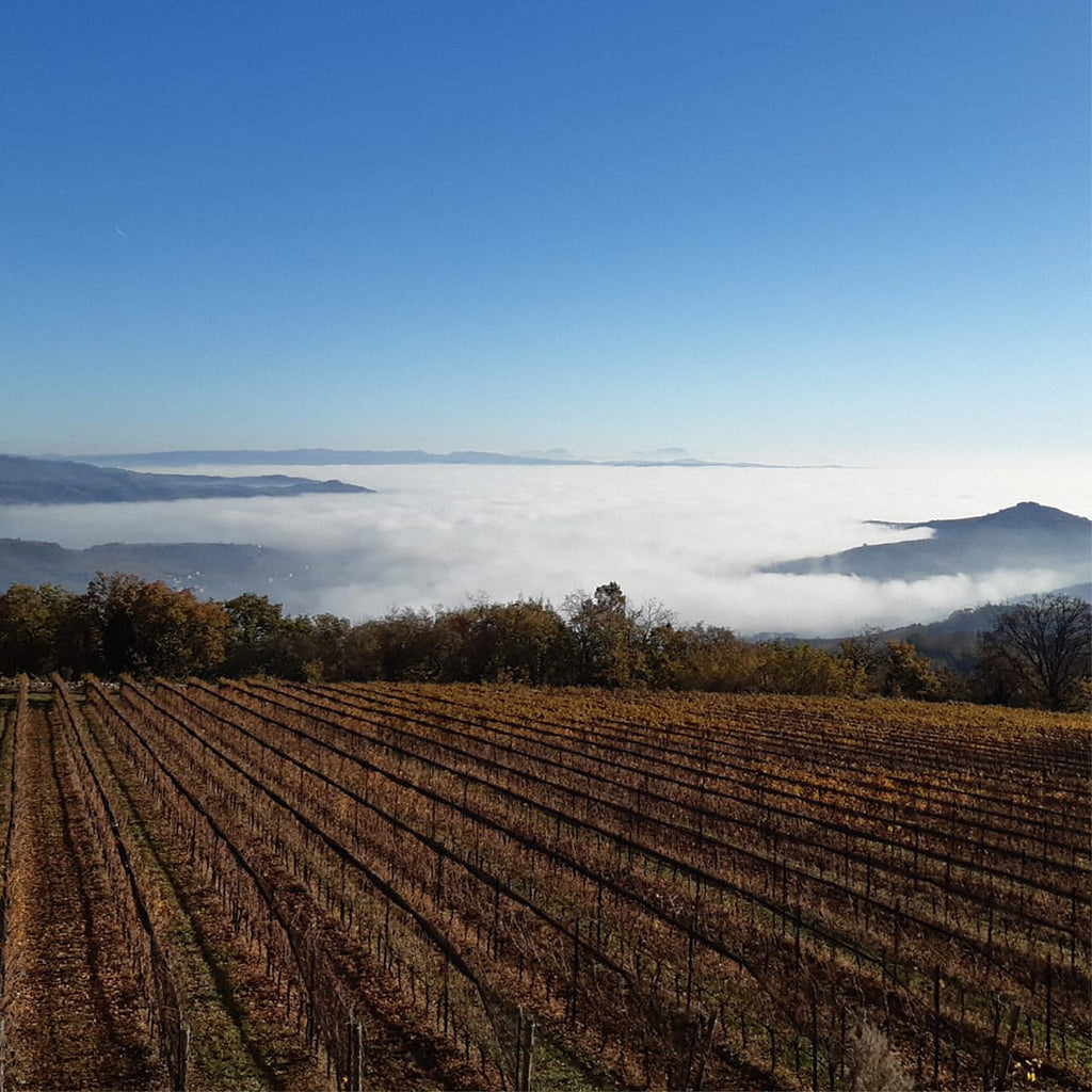 Daniele Gregoris – Issimo